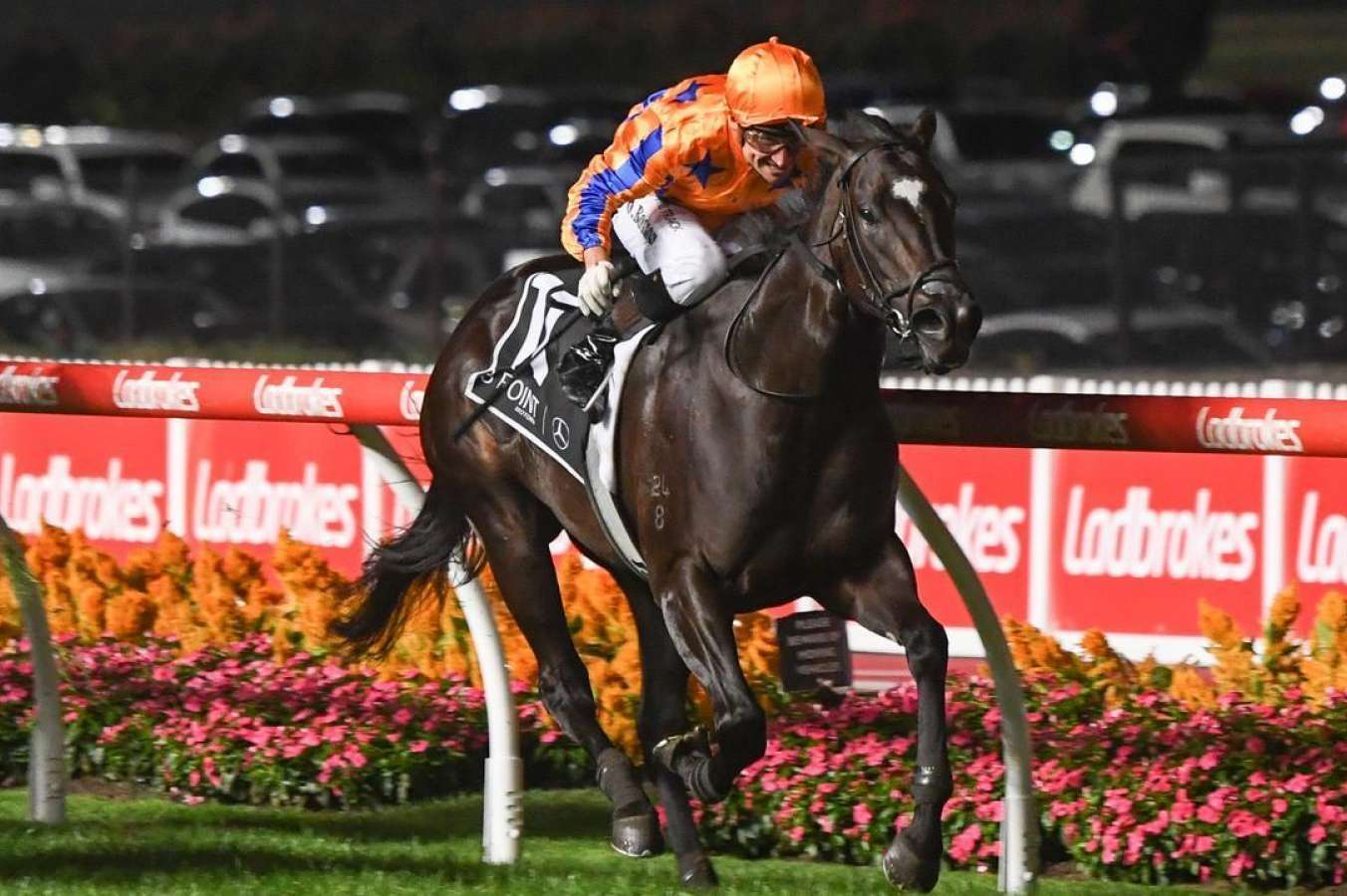 World class sprinter to fly the flag for Te Akau Australia