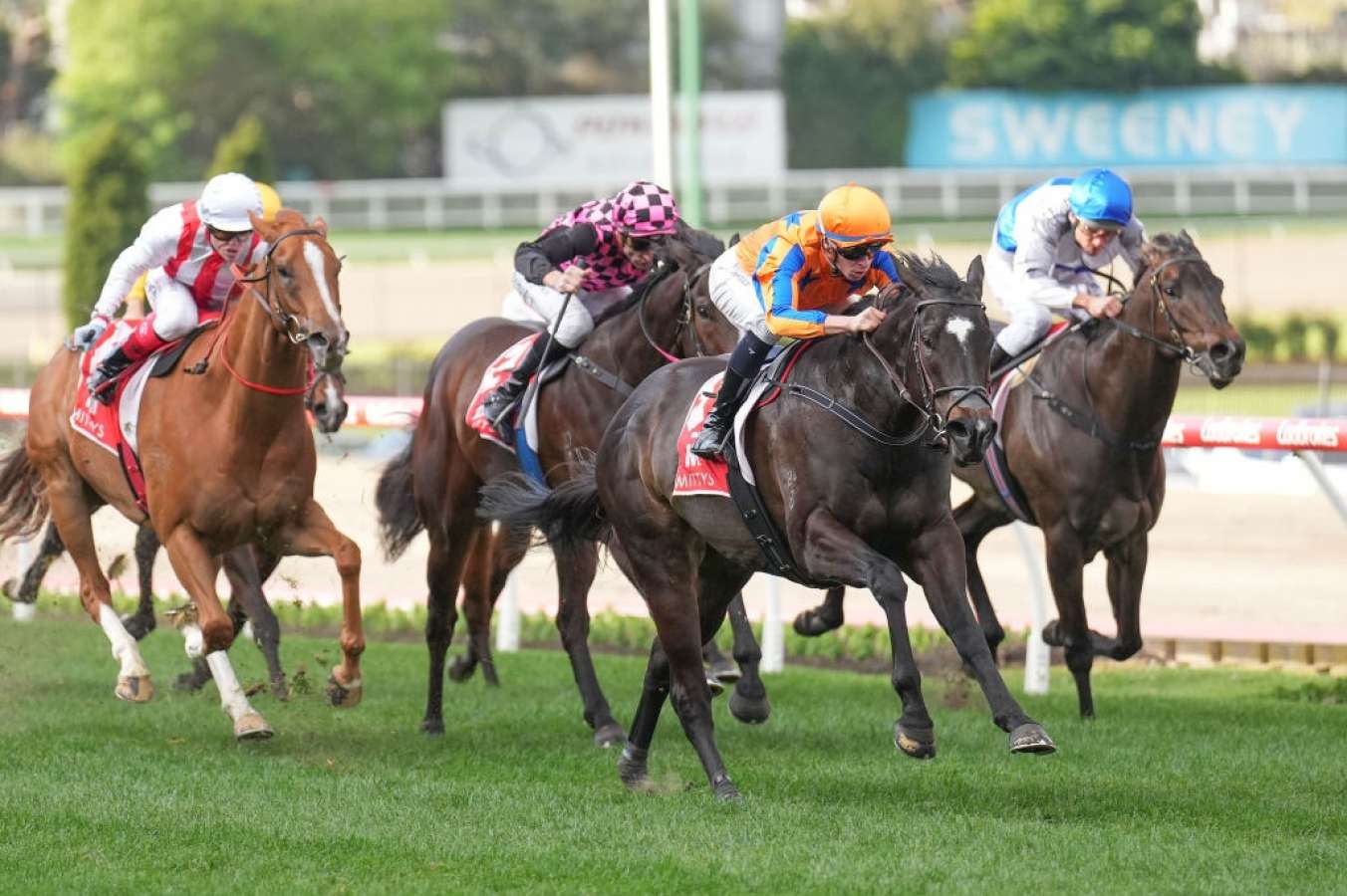 Craig Williams concedes ride 'cost Giga Kick every chance'