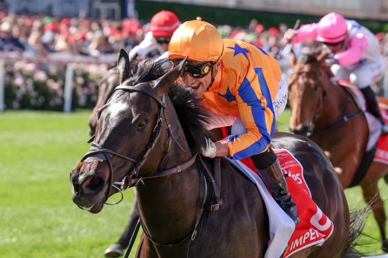 Manikato Stakes Tips - 2024