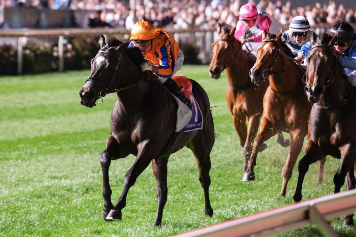Moir Stakes Tips - 2024