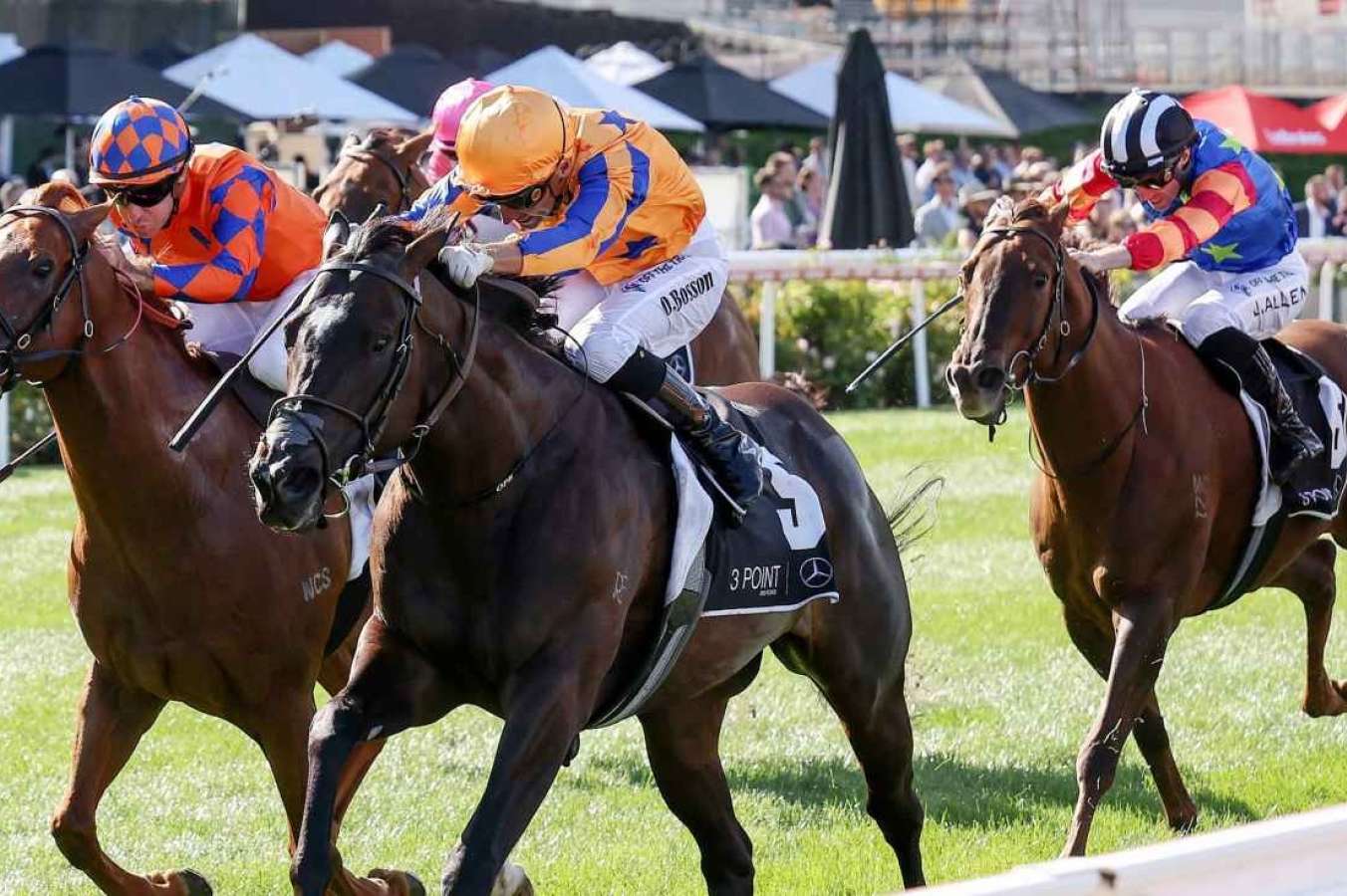 William Reid Stakes Field - 2025