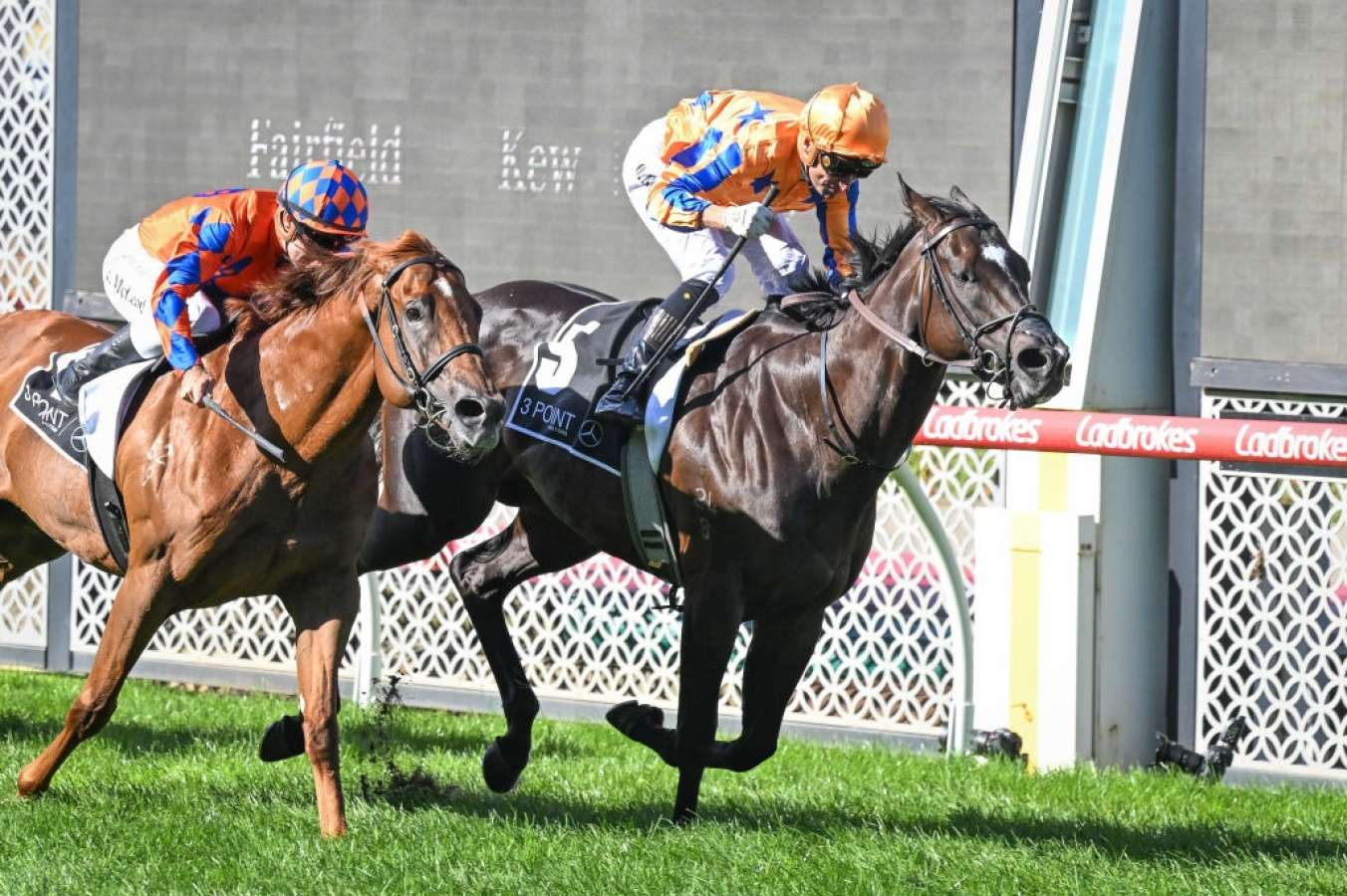 William Reid Stakes Tips - 2025