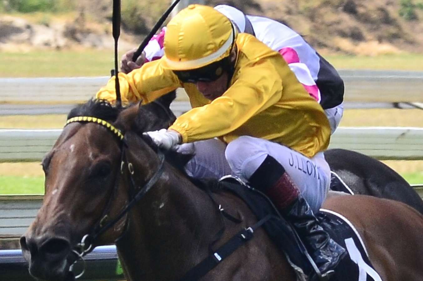 Impregnable living up to rich bloodlines