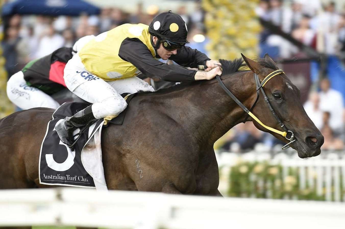 Aussie sprinter confirmed for Hong Kong sprint