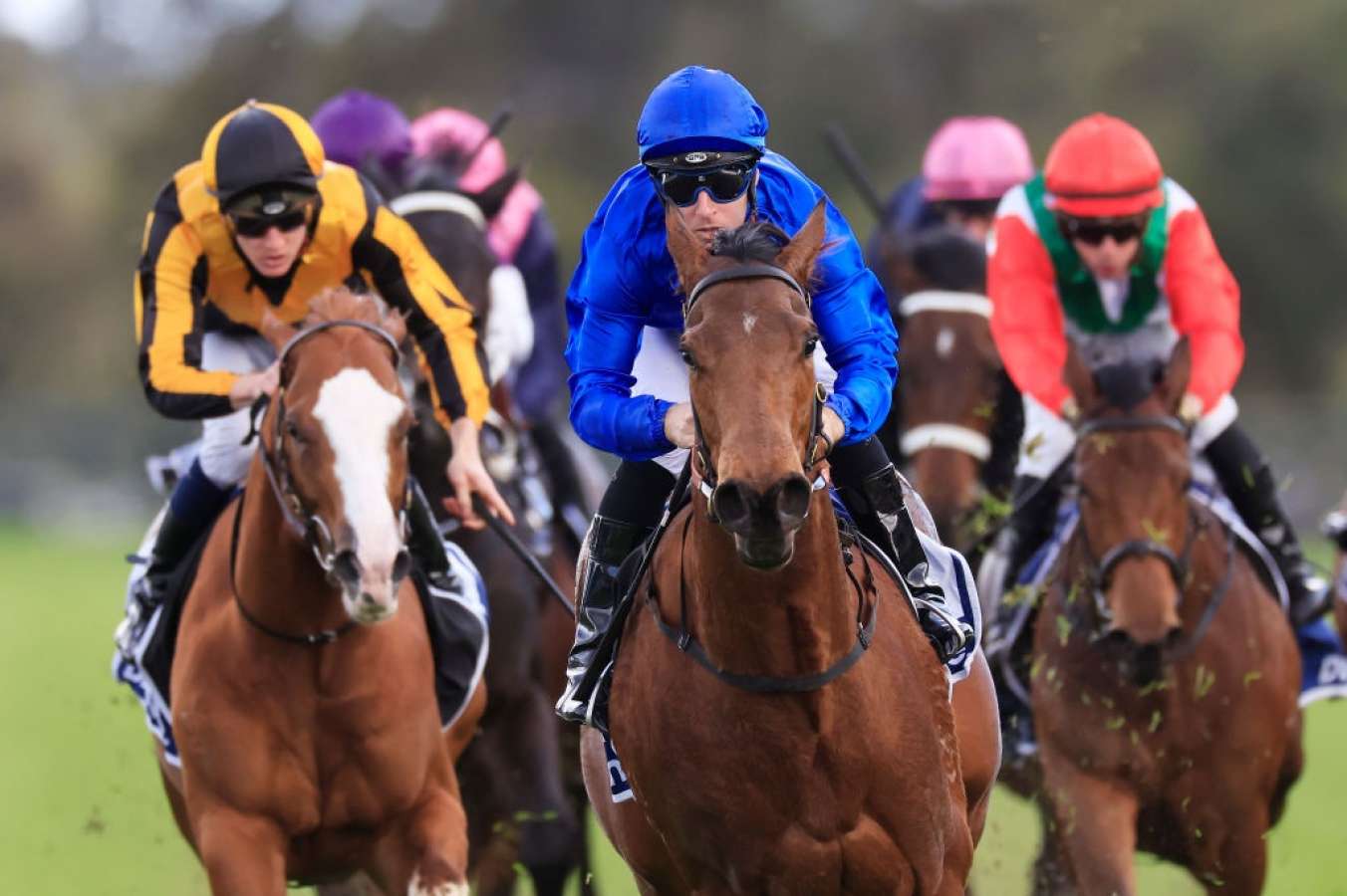 The inside word on Godolphin's weekend runners