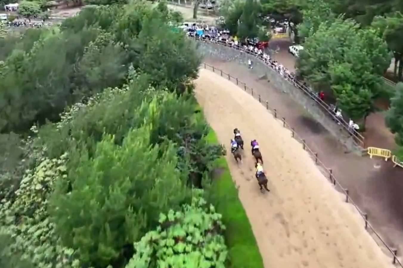 Things You Might Have Missed - October 14