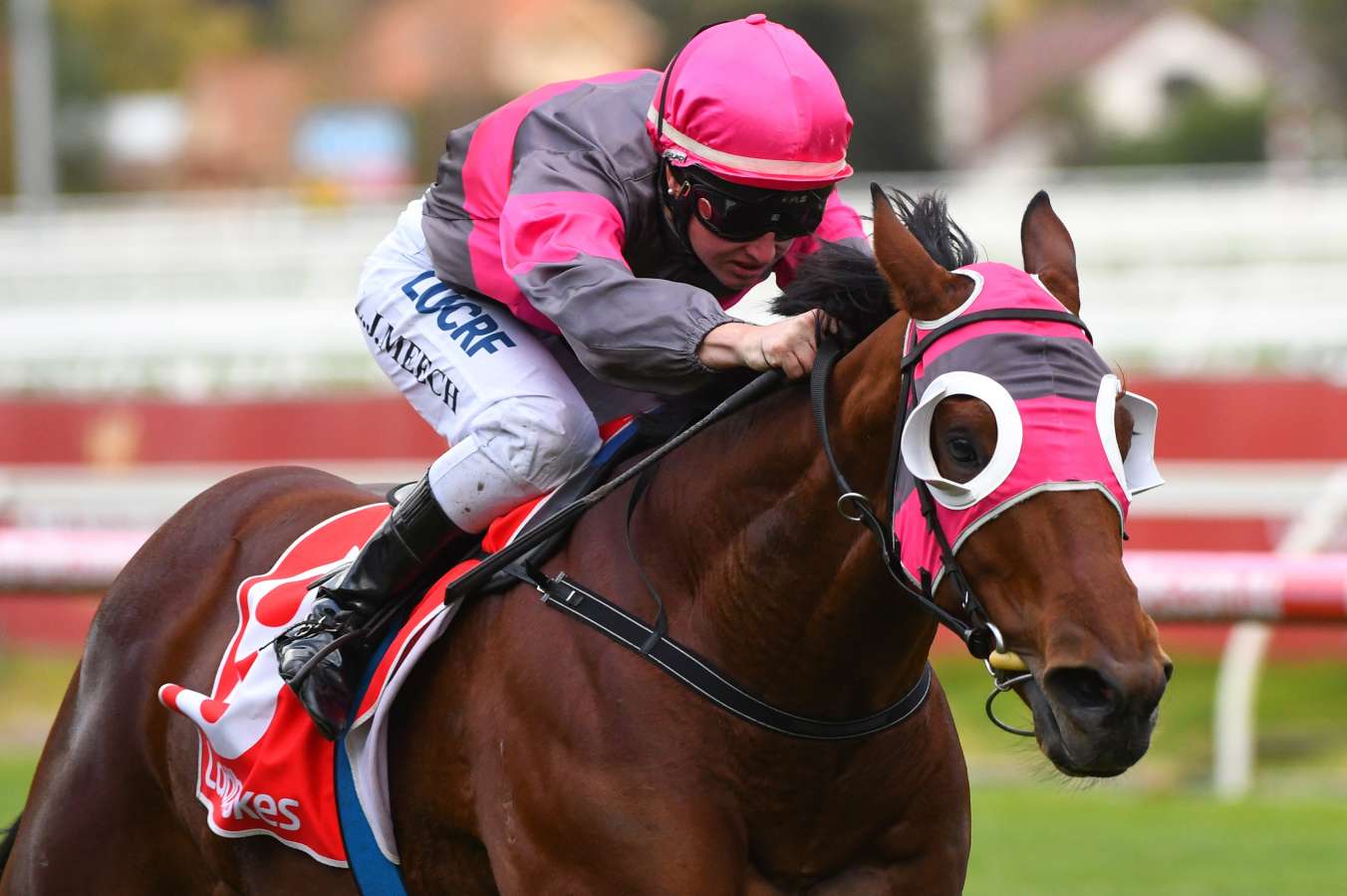 Inn Keeper on target for first stakes test