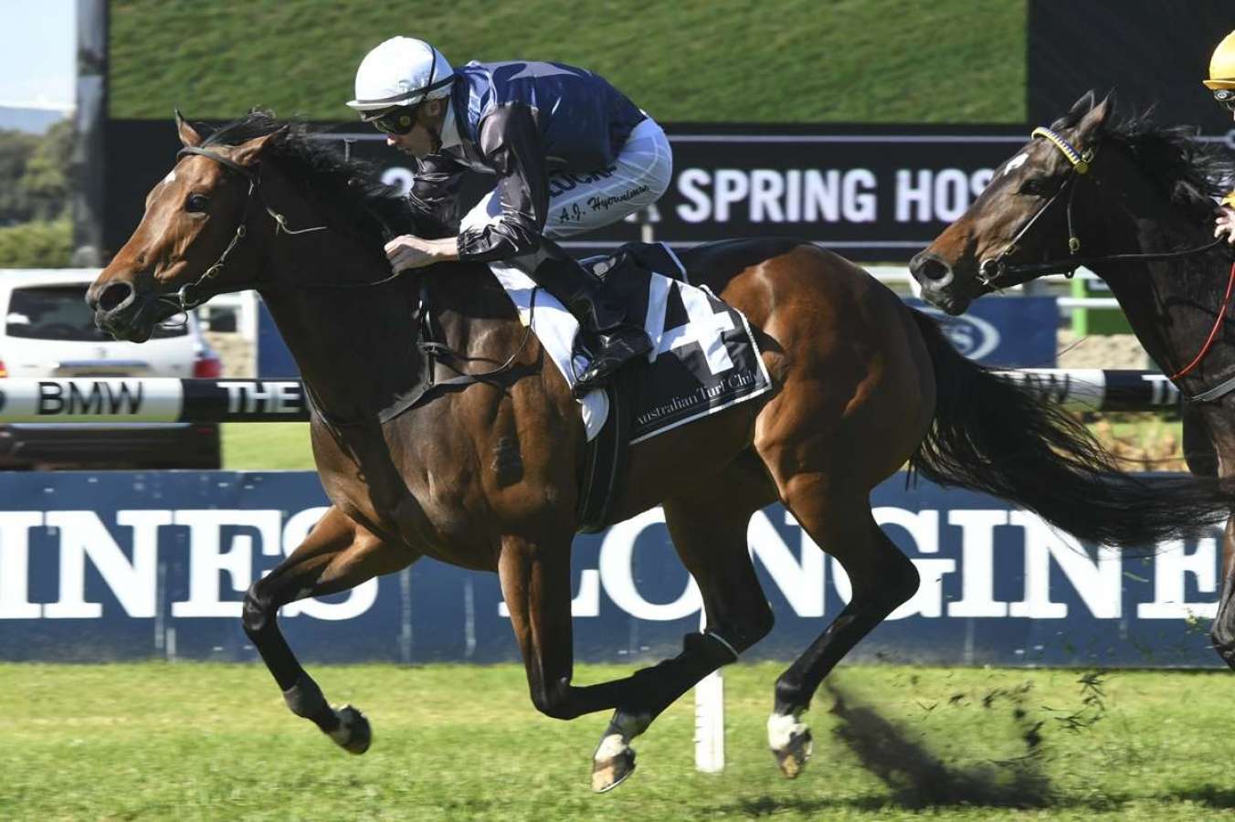 Insensata wins again at Rosehill