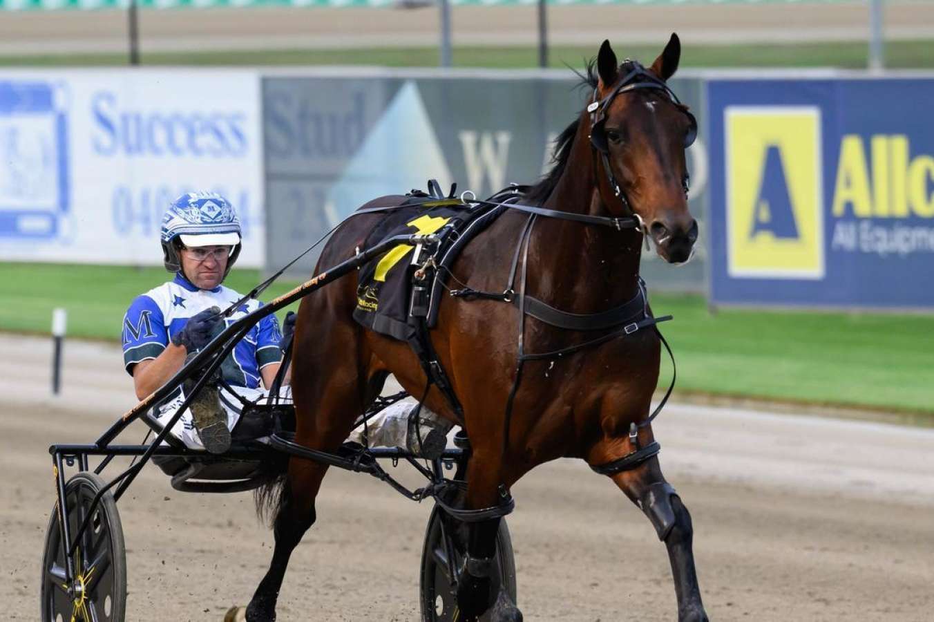 Harness racing: Leap To Fame stands in way of Luke McCarthy's Hunter ...