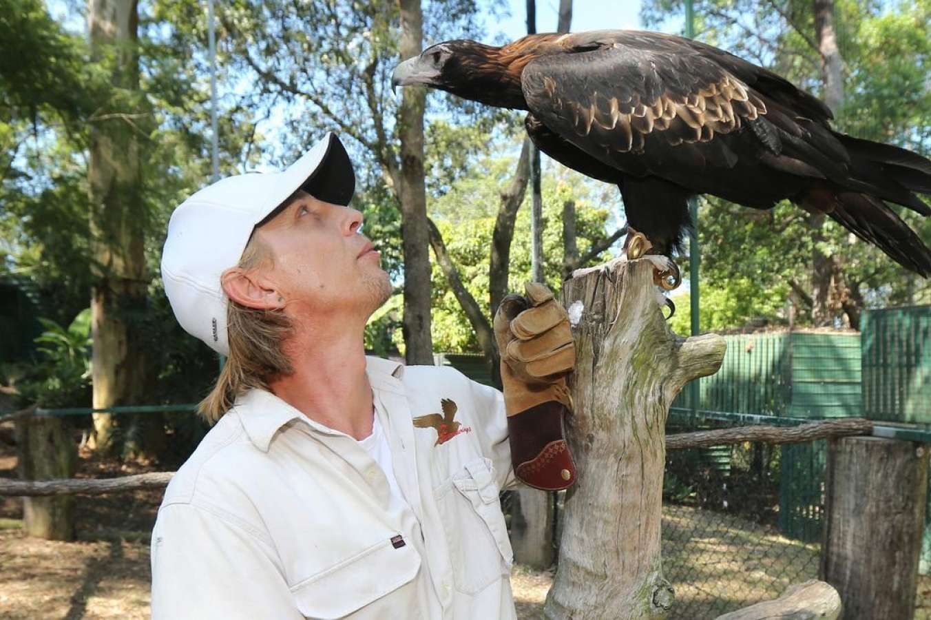 Internationally renowned 'Birdman' the saviour of new Gold Coast turf track