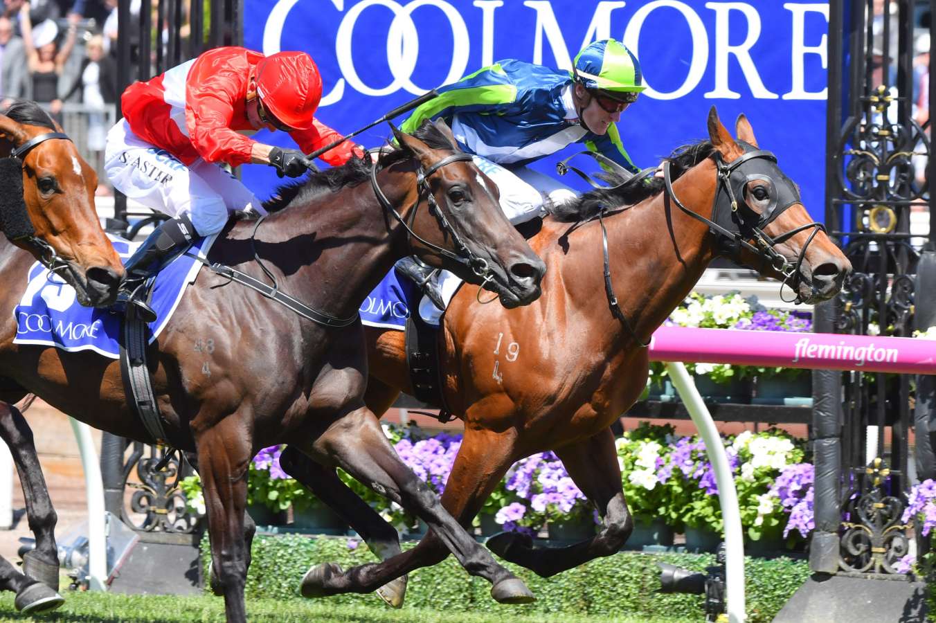 Invincible Star shines in star-studded trial