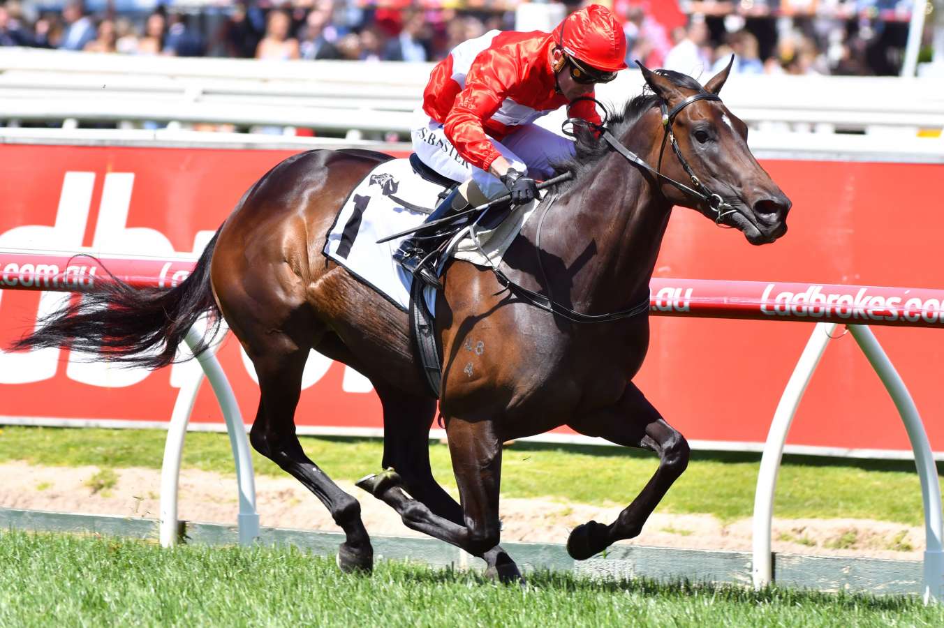 Early spring test for Invincible Star