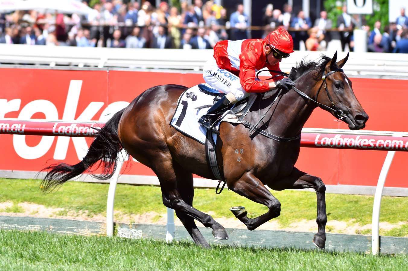 Invincible Star on road to Magic Millions