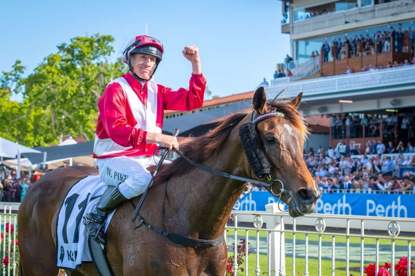 2020 by the numbers: Top performing horses, jockeys and trainers for ...