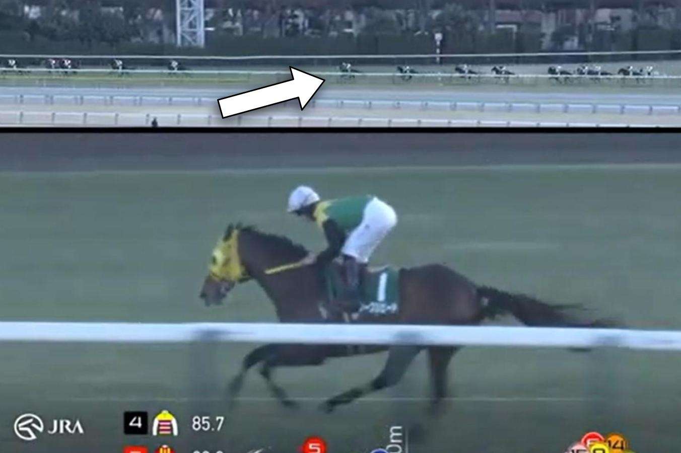 Melbourne Cup runner-up resumes in Japan