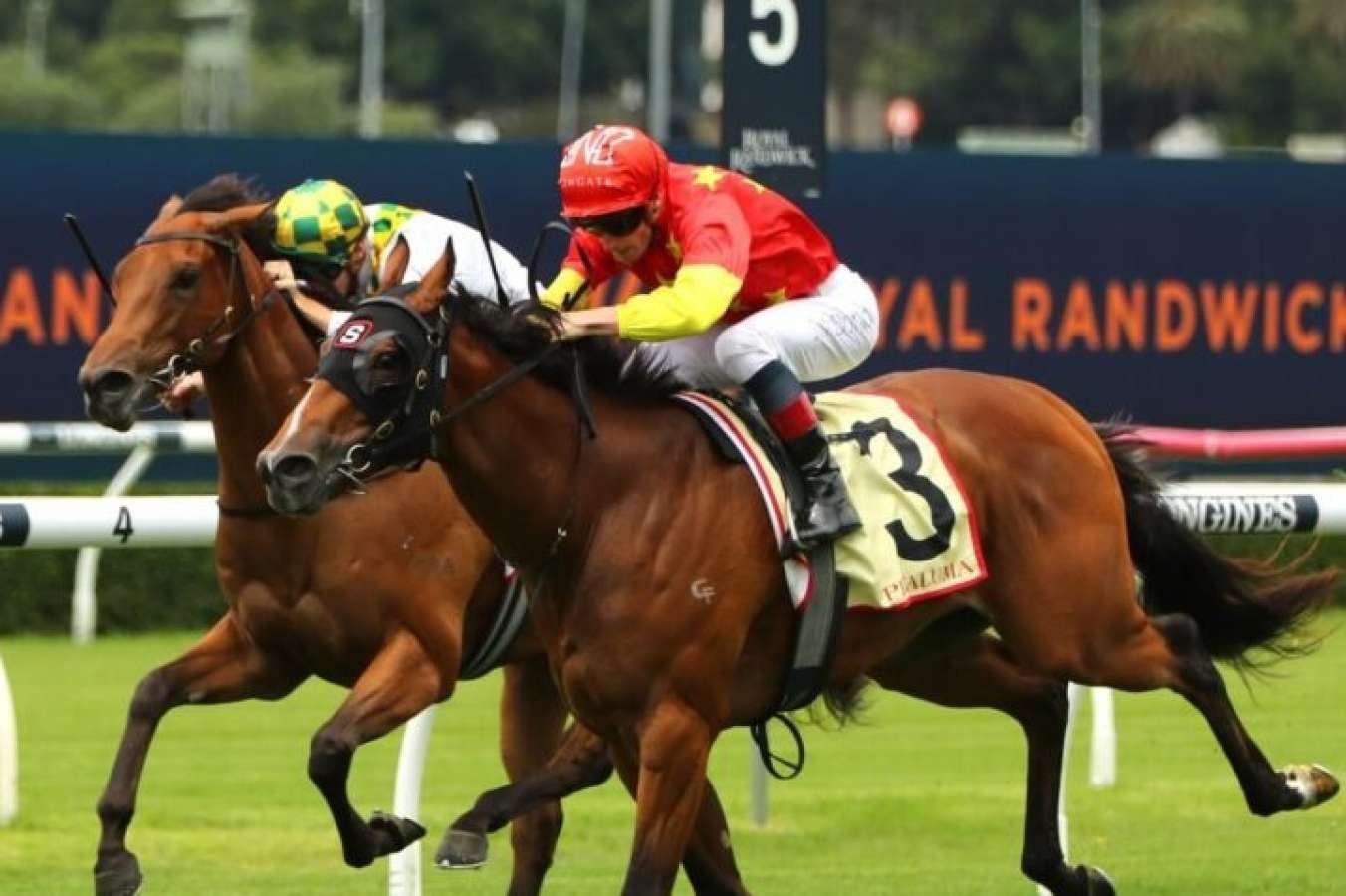 James McDonald's race-by-race preview of All Aged Stakes day