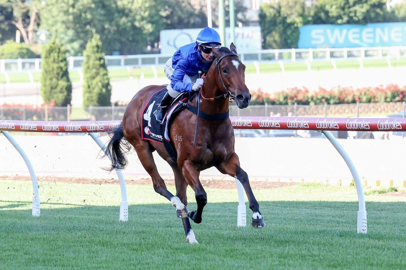 Caulfield preview and tips: Saturday, December 16