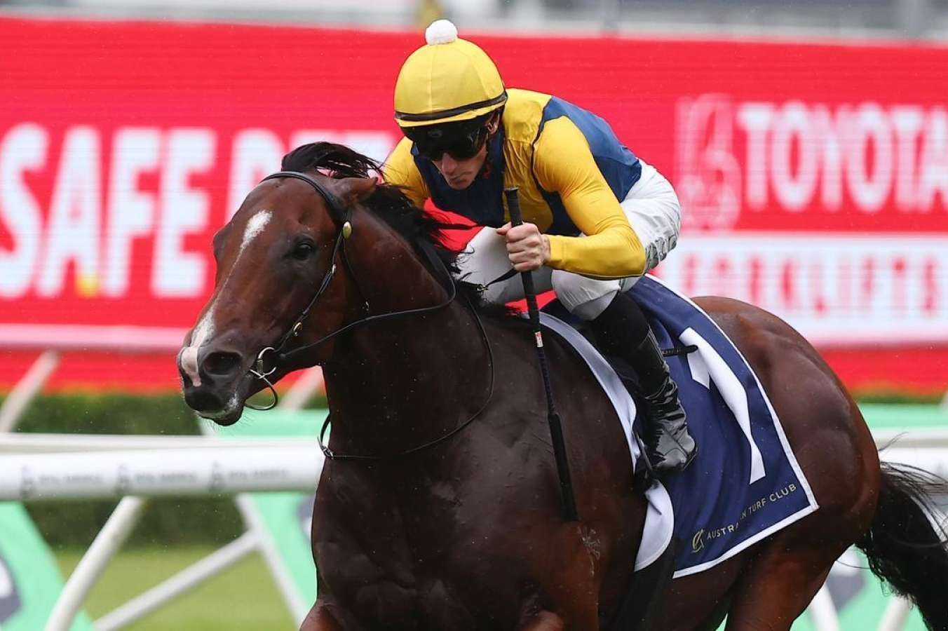 Storm Boy impresses James McDonald as Golden Slipper decision looms