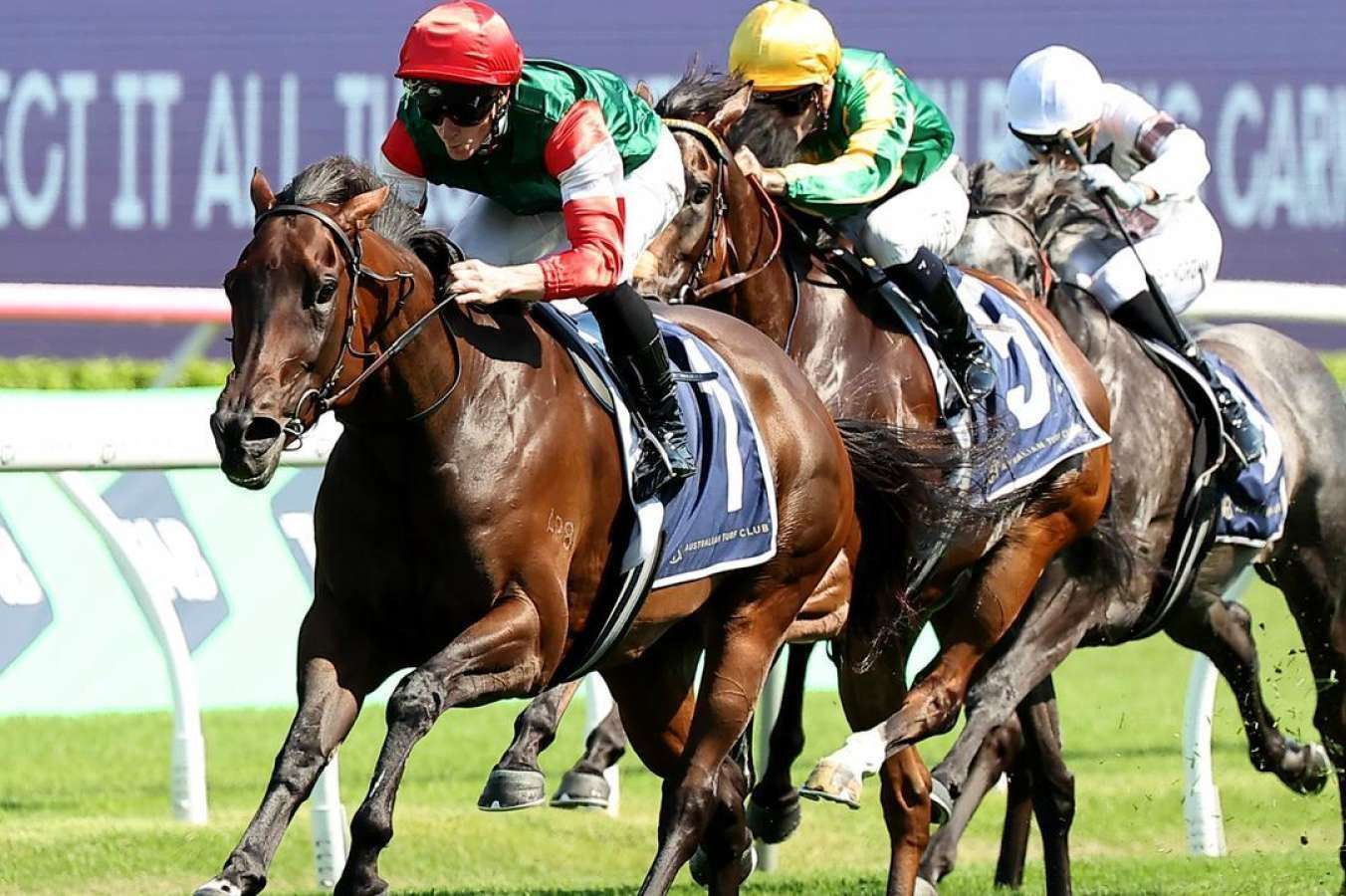 2025 Guy Walter Stakes: Amelia's Jewel wins in dominant style