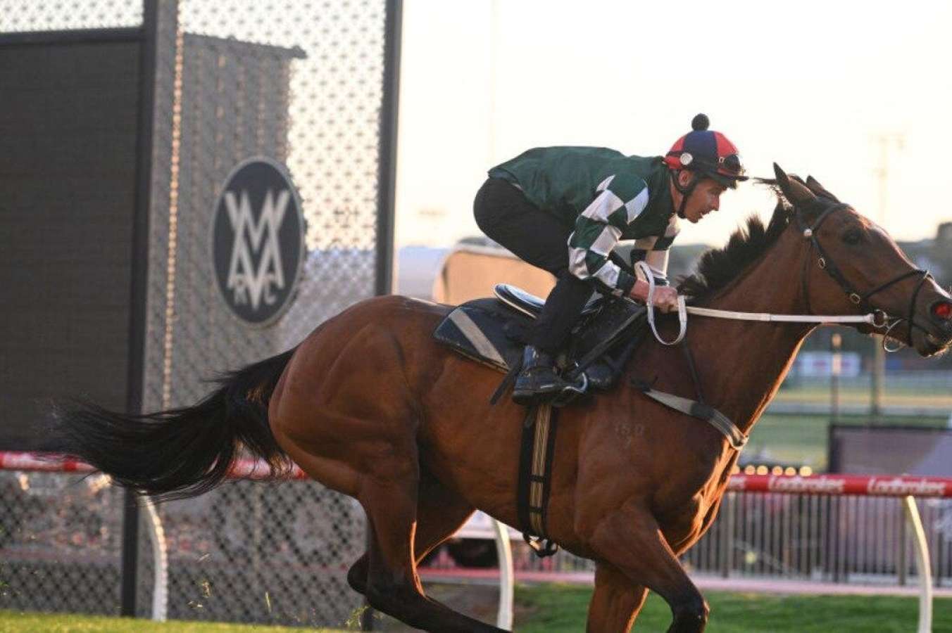 Chris Waller previews his G1 runners for the Cox Plate