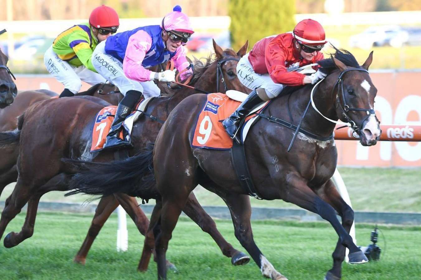 Extreme Warrior ready for Group 1 Goodwood pressure test as career at ...