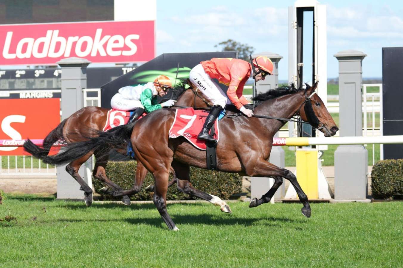 Sale preview and tips: Wednesday, October 9