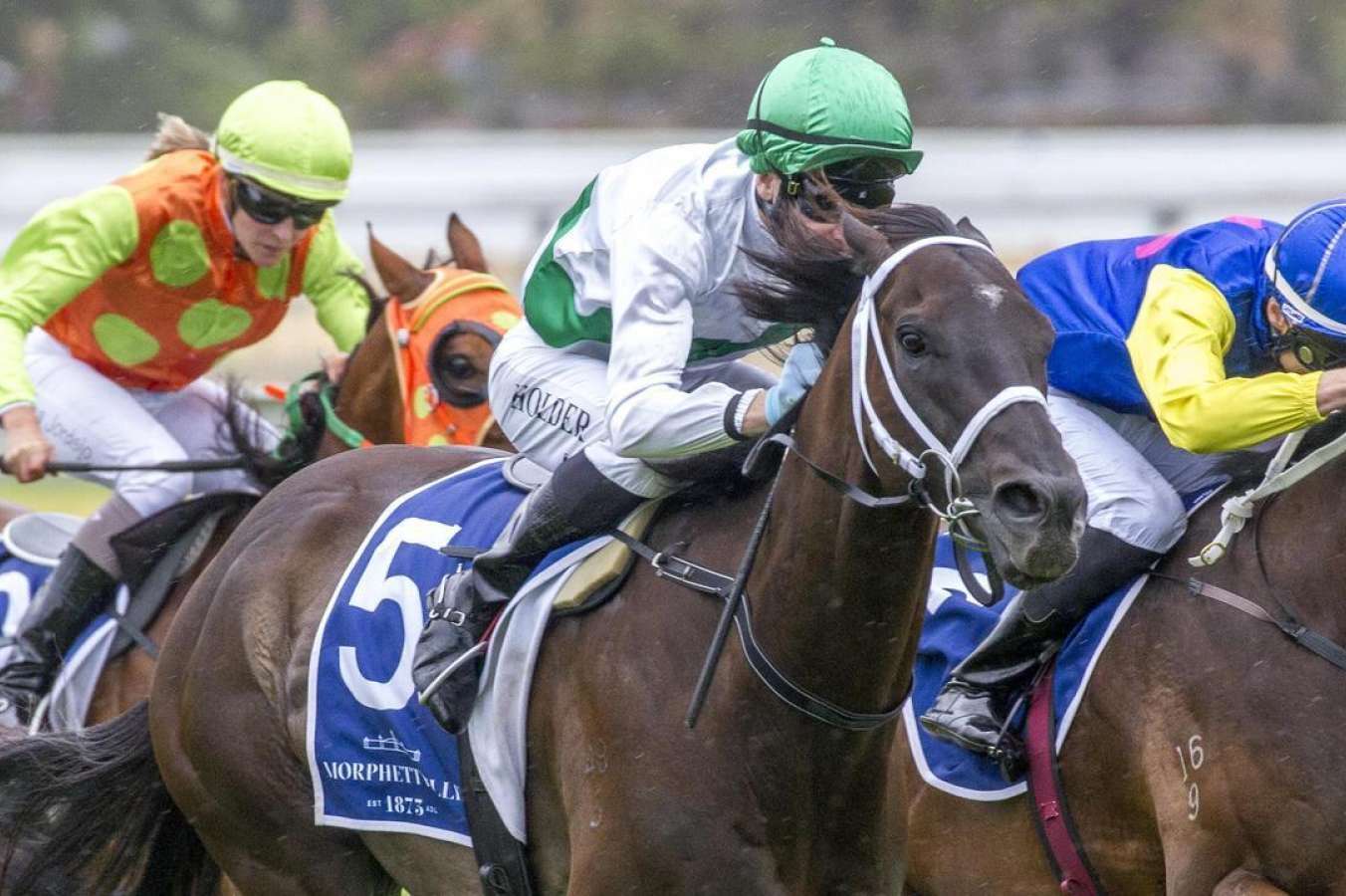 Shamino snares Durbridge Stakes at Morphettville to book Oakleigh Plate ...