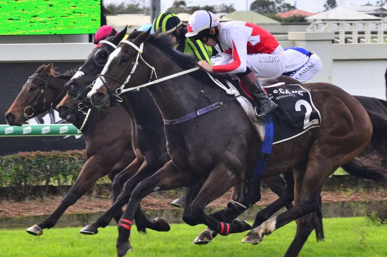 Handsome Thief back to his best