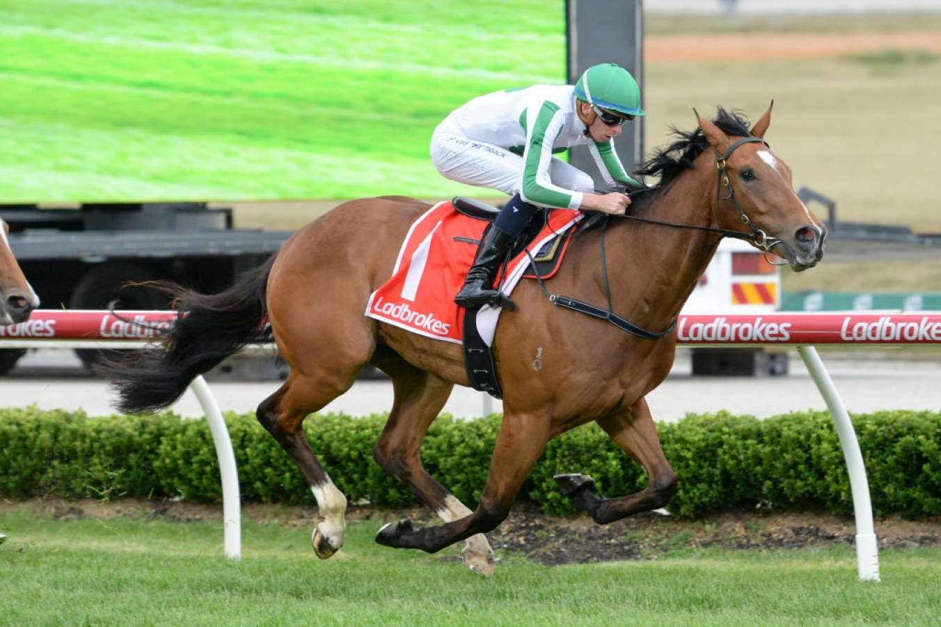 Fitnesstonya porno therefore I felt a little comfortable