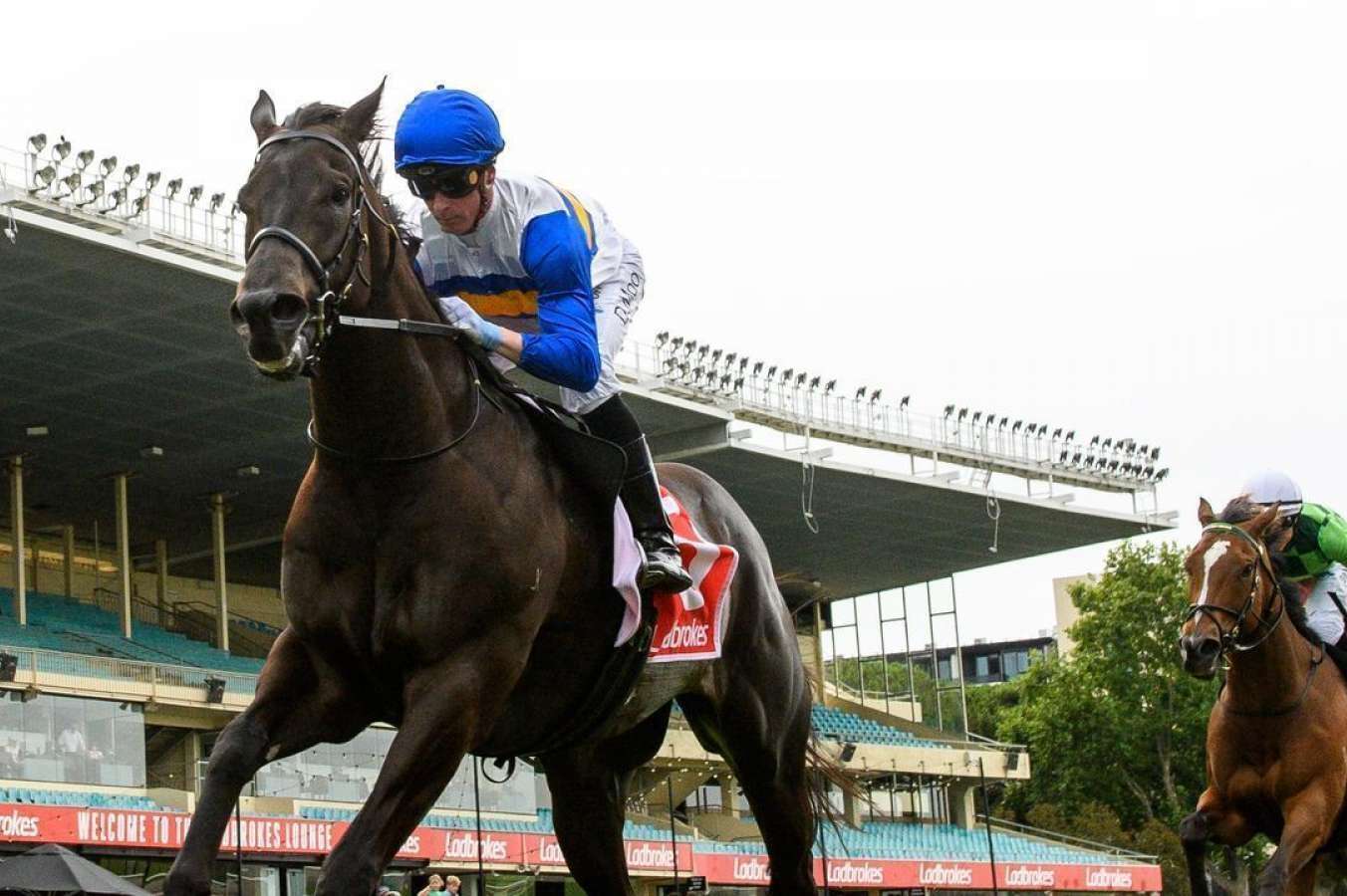 Racing: Saturday Selections - Mornington Cup day - 2023 | Odds