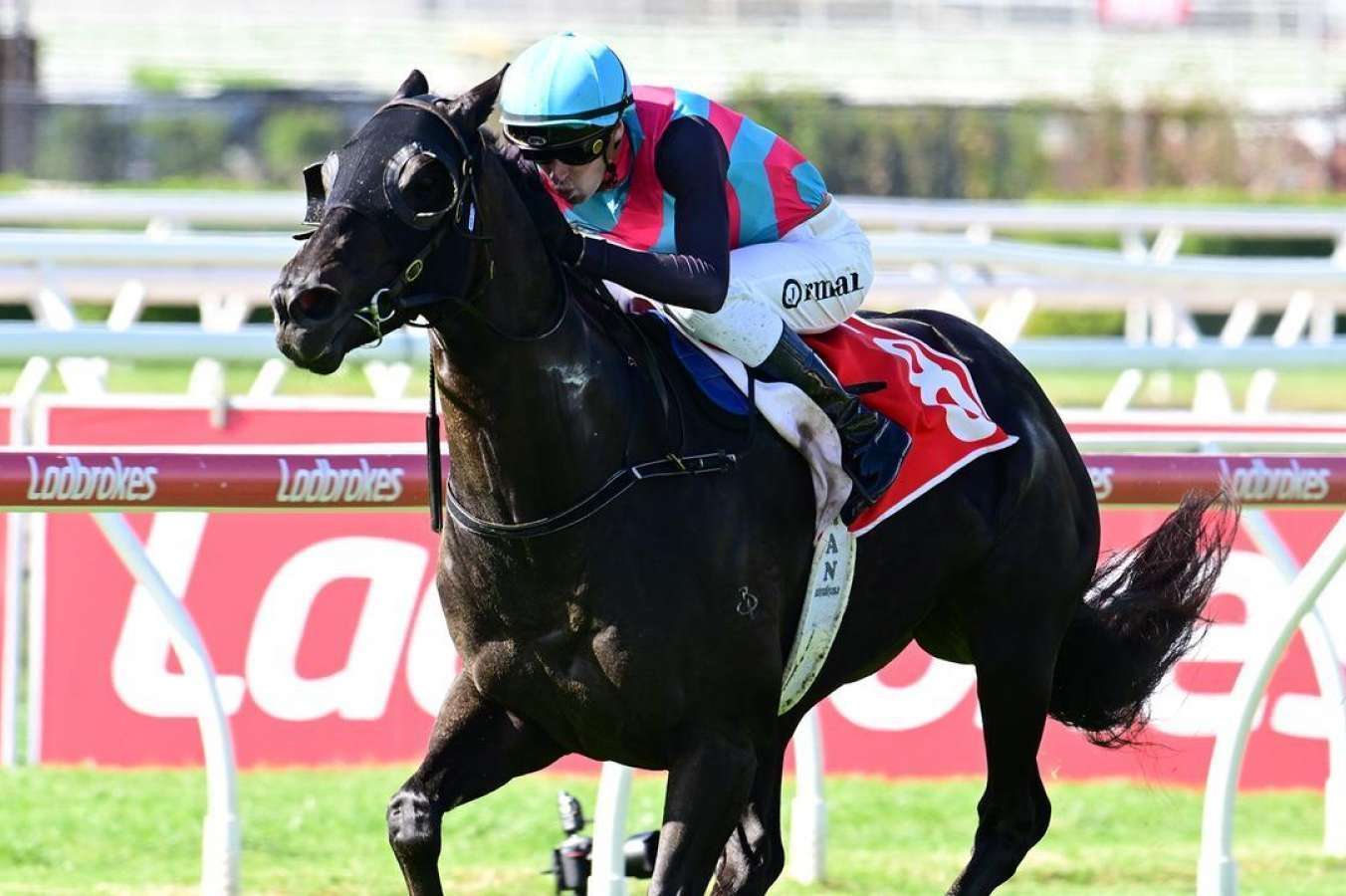 Jimmy Orman joins Chris Munce and Jeff Lloyd in illustrious centurion club