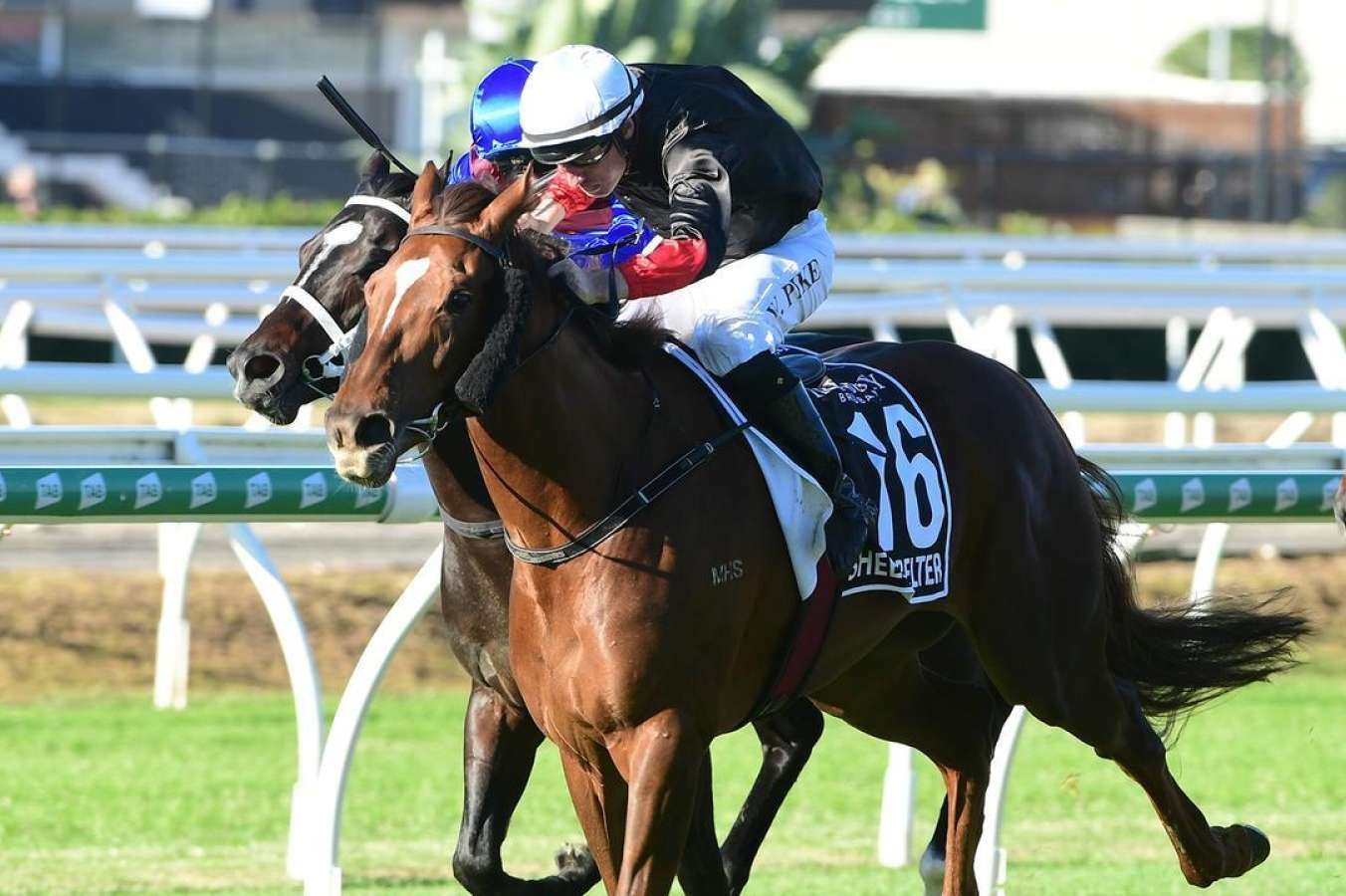 Owner defends Group 1 mare's stable switch