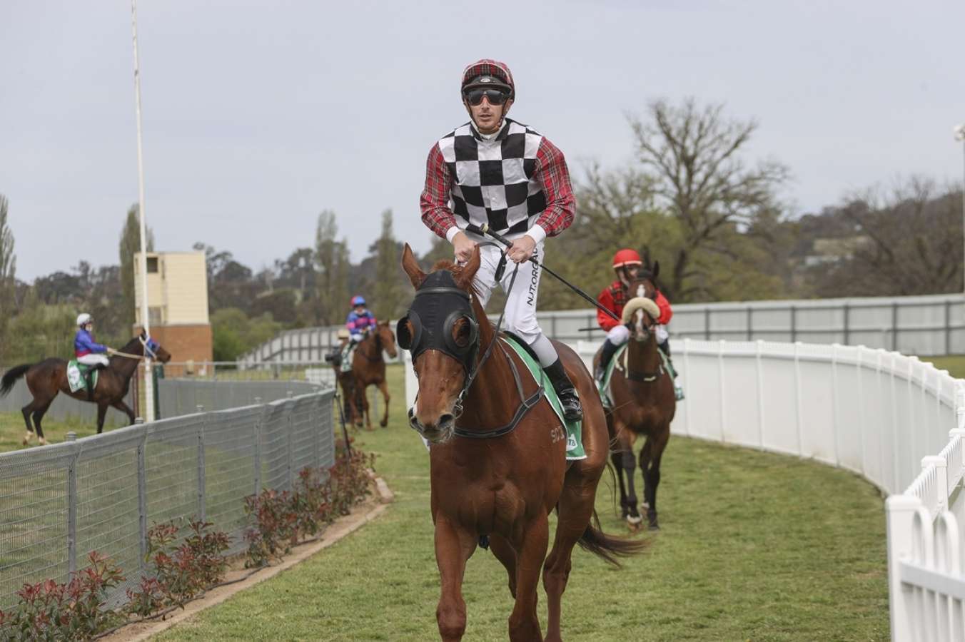 Jockey Ben Looker given four-week suspension on handling charge