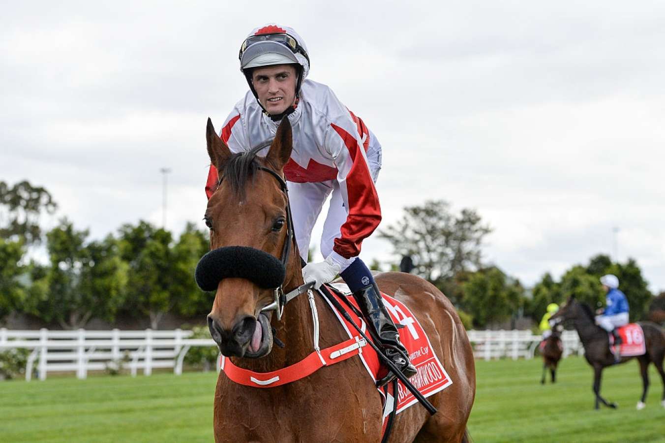 Blake Spriggs snares Hightail ride in Stradbroke Handicap