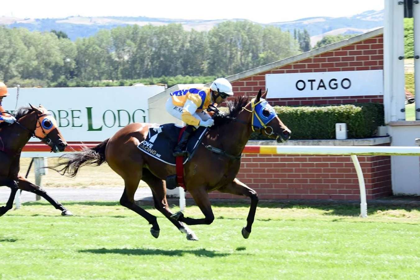 Winning jockey hit with big suspension after failing to weigh-in