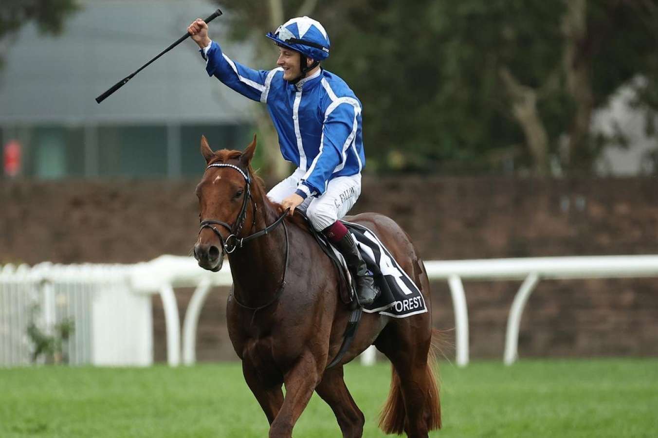 What the jockeys said: 2024 Golden Eagle