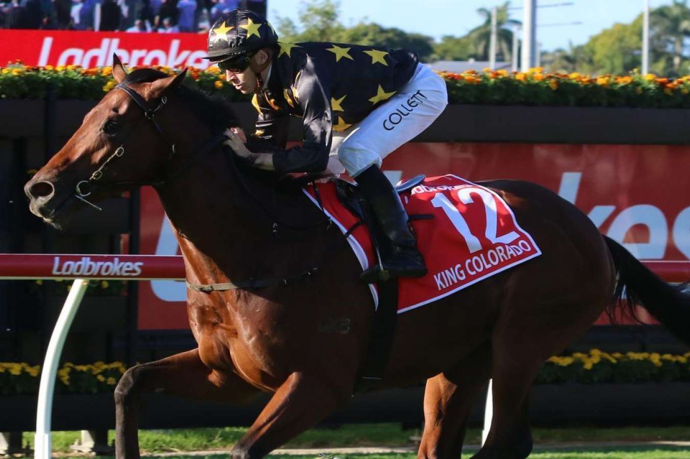 Group 1 winner retired to stud