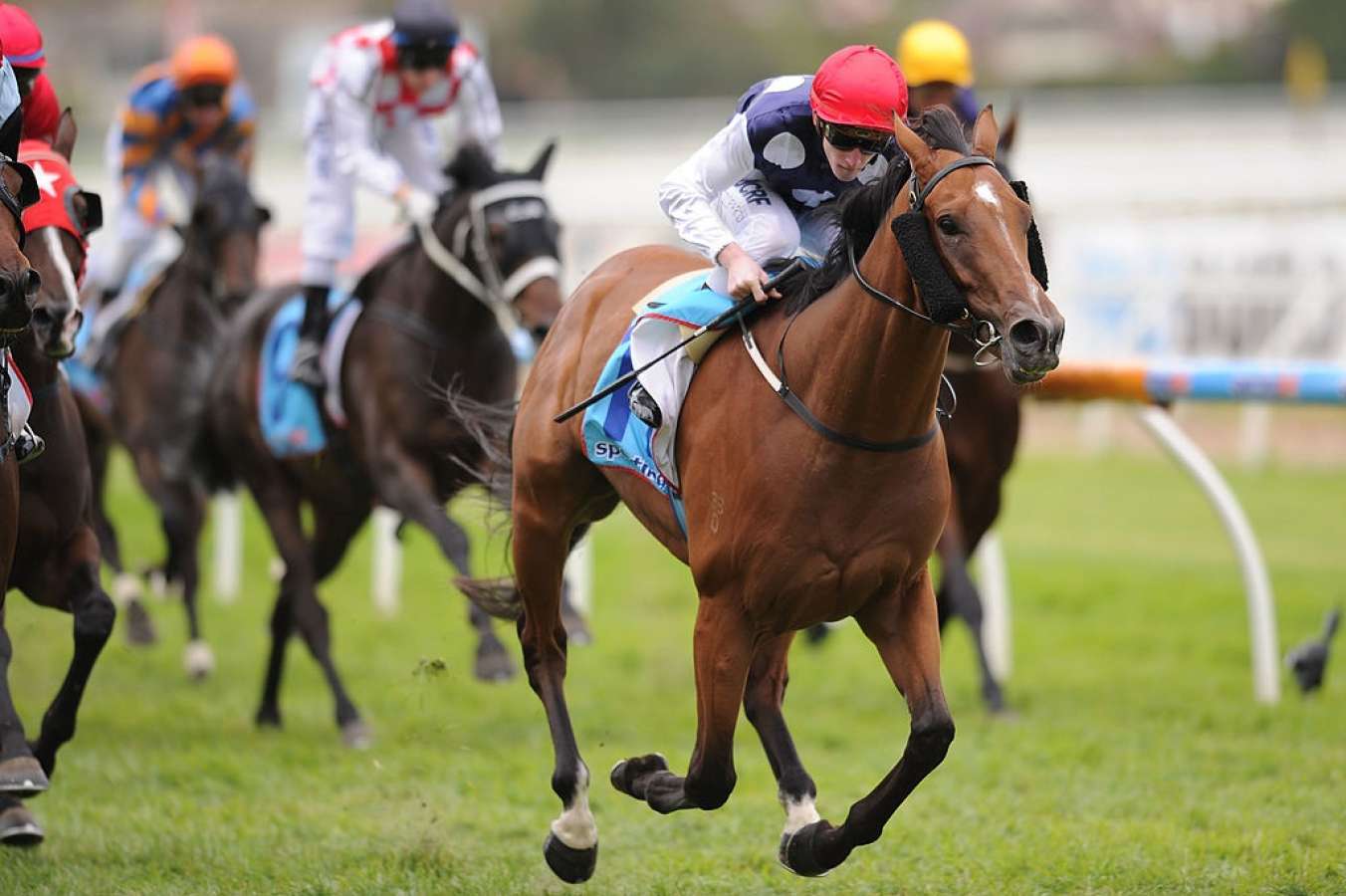 Perth Cup fall: Jockey Joseph Azzopardi given six-week suspension