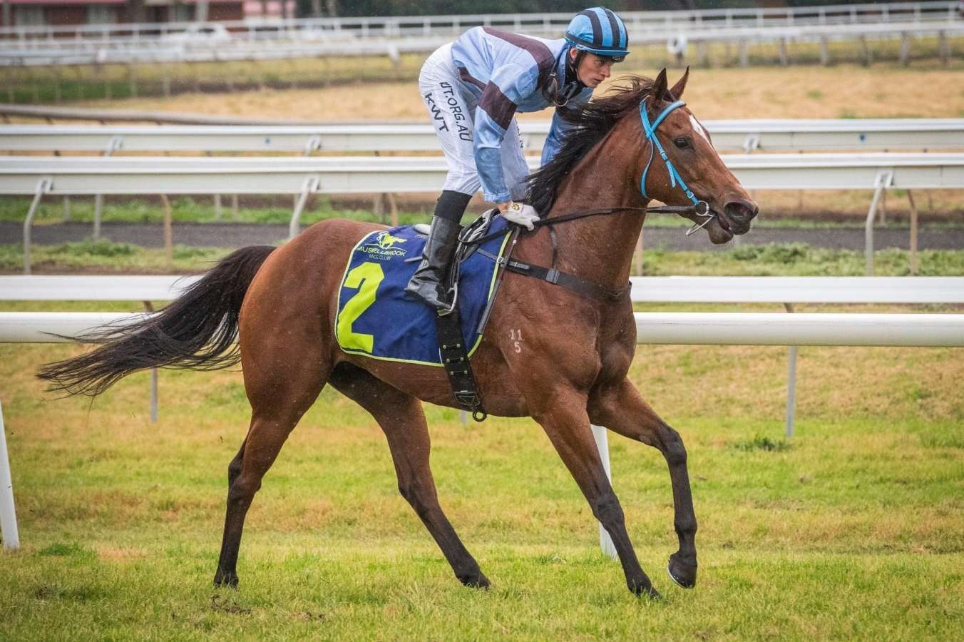 Red-hot jockey Kyle Wilson-Taylor eyes Dalby day out