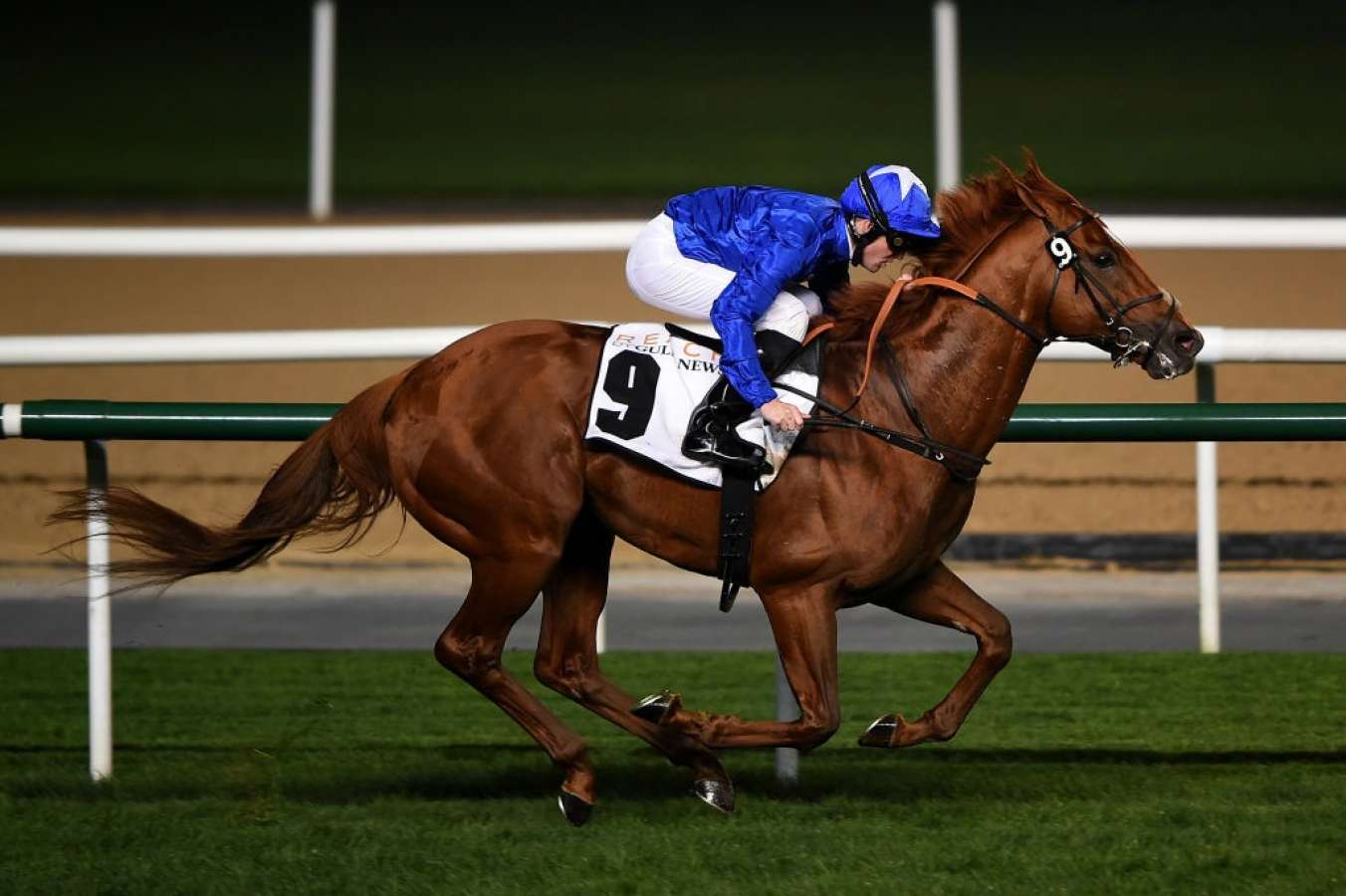 Jockey set for 23,000km round-trip