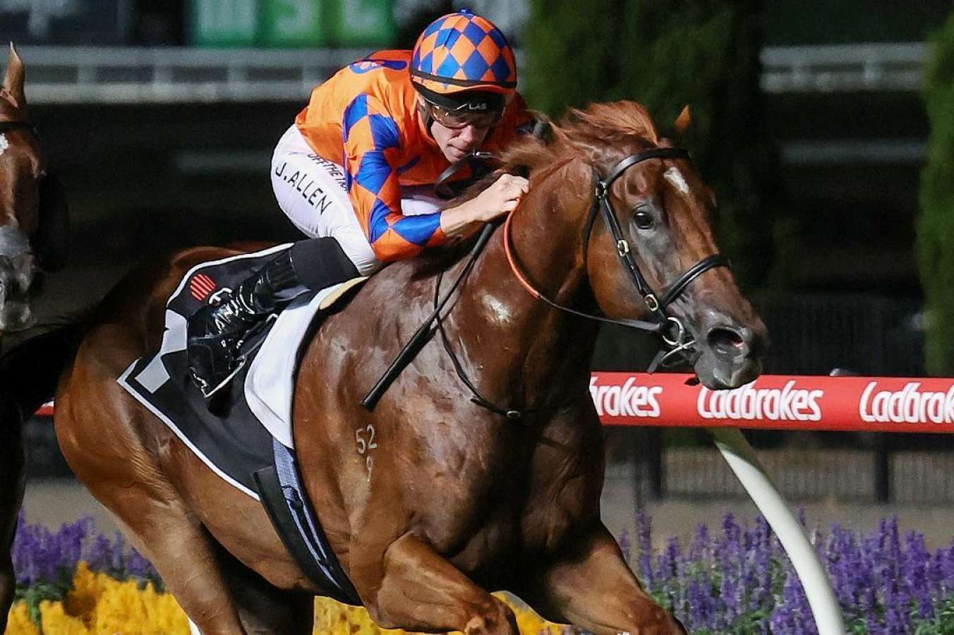 Everest credentials on line for Johnny Rocker in The Goodwood