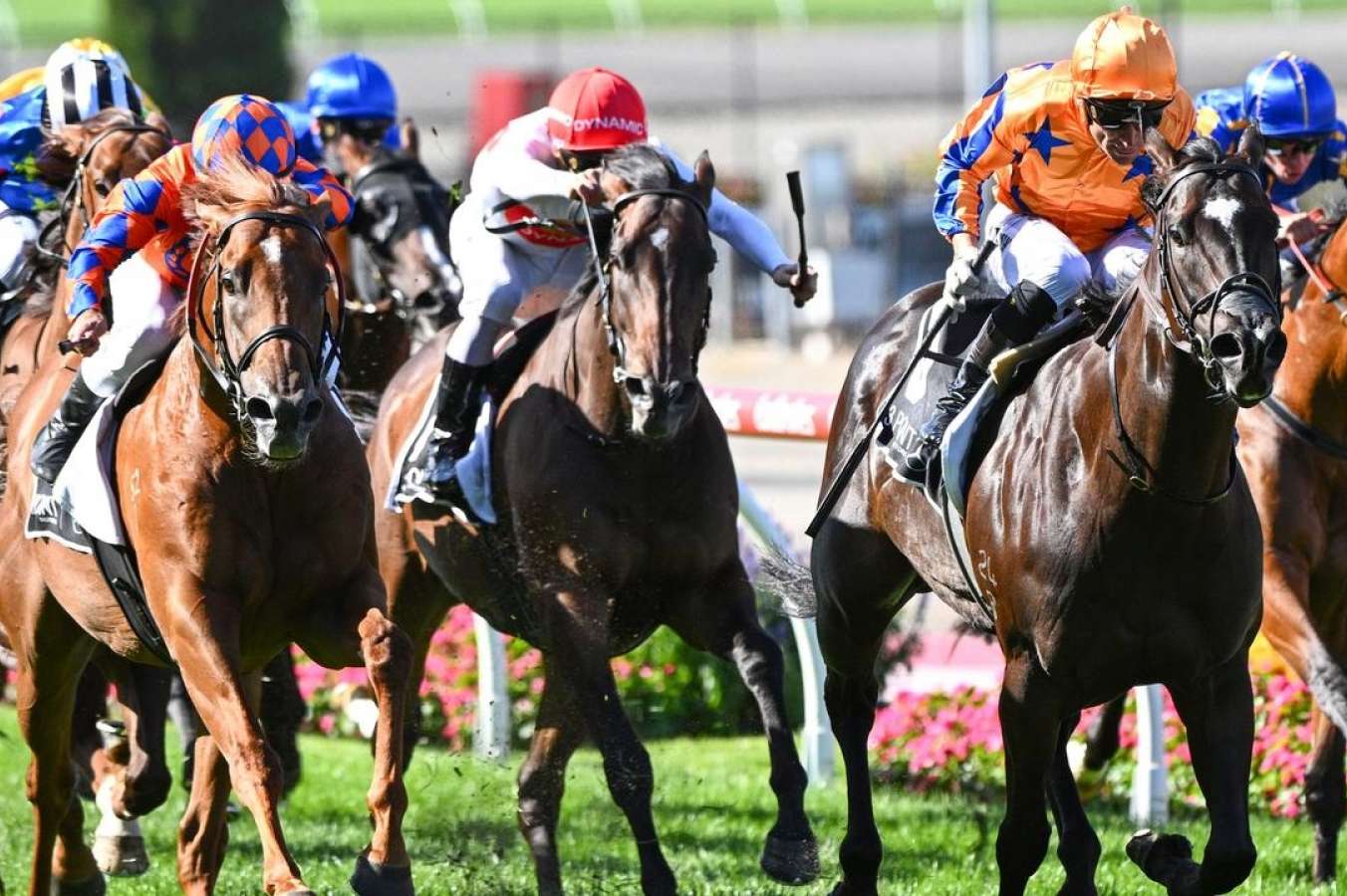 'No animosity': Johnny Rocker ex-trainer's class act after surprise ...