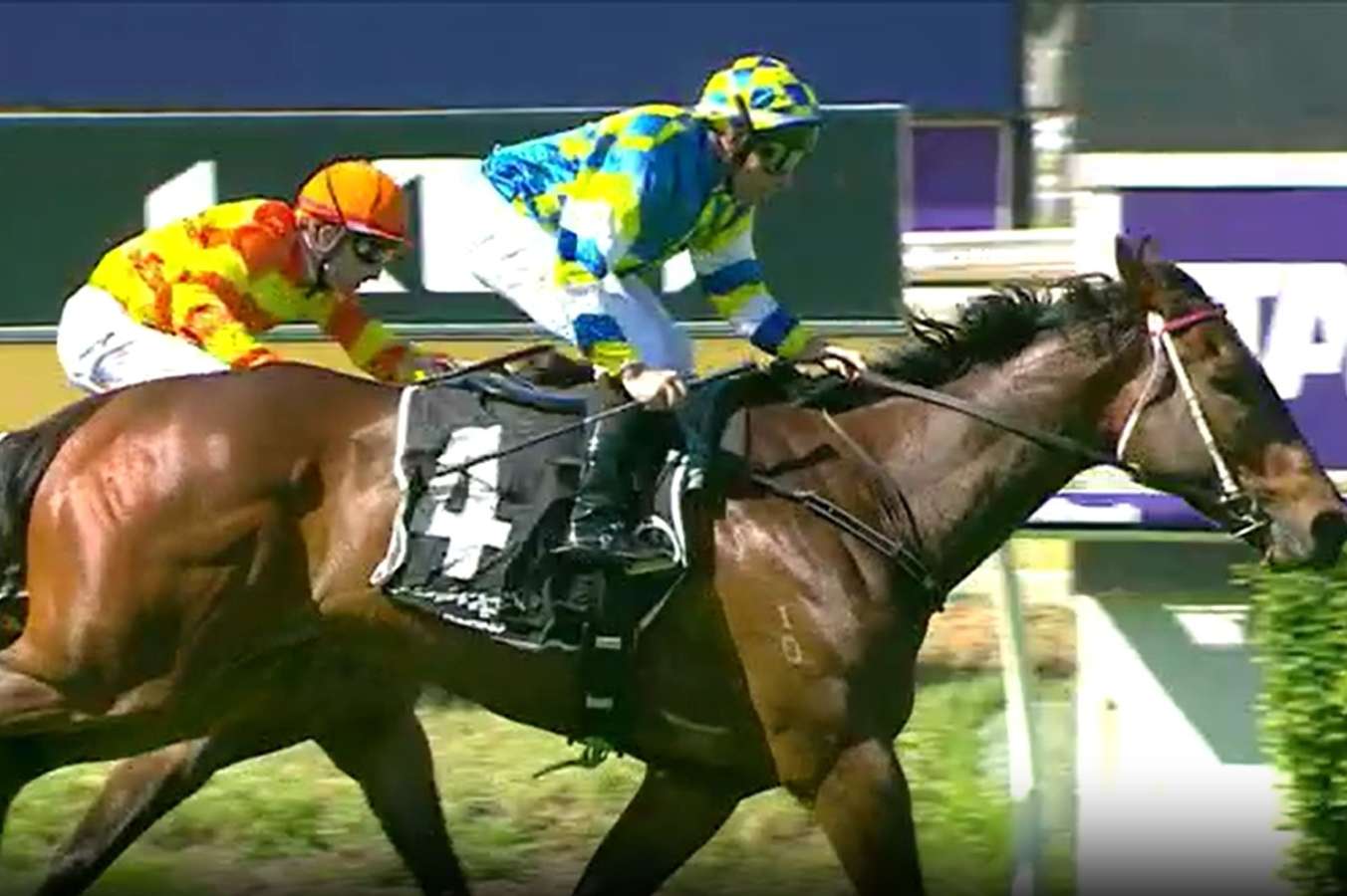 Ascot wrap: Joker wows, jockey suspended for 20 days