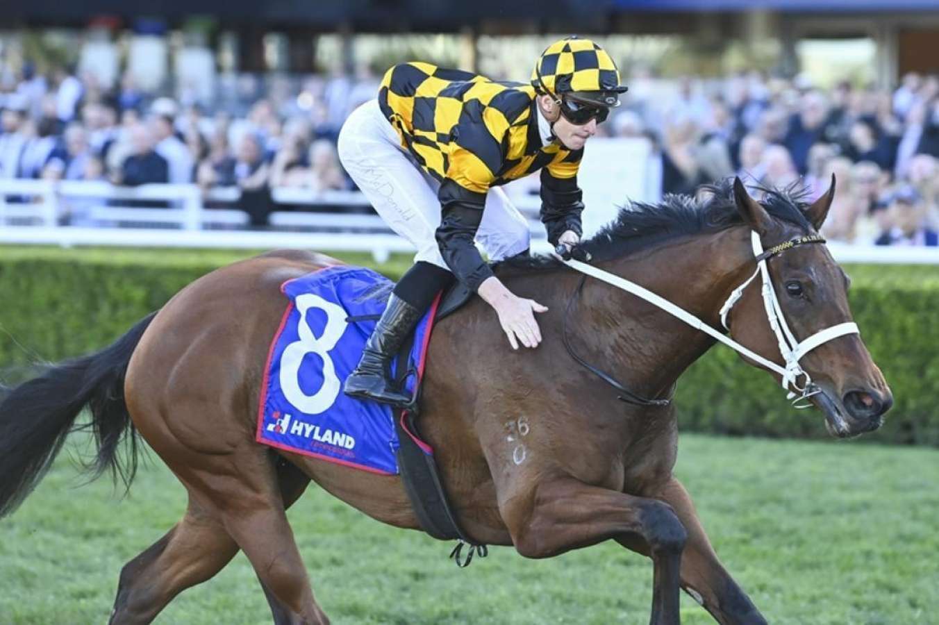 Punters' best bets multi for racing on Saturday, February 15