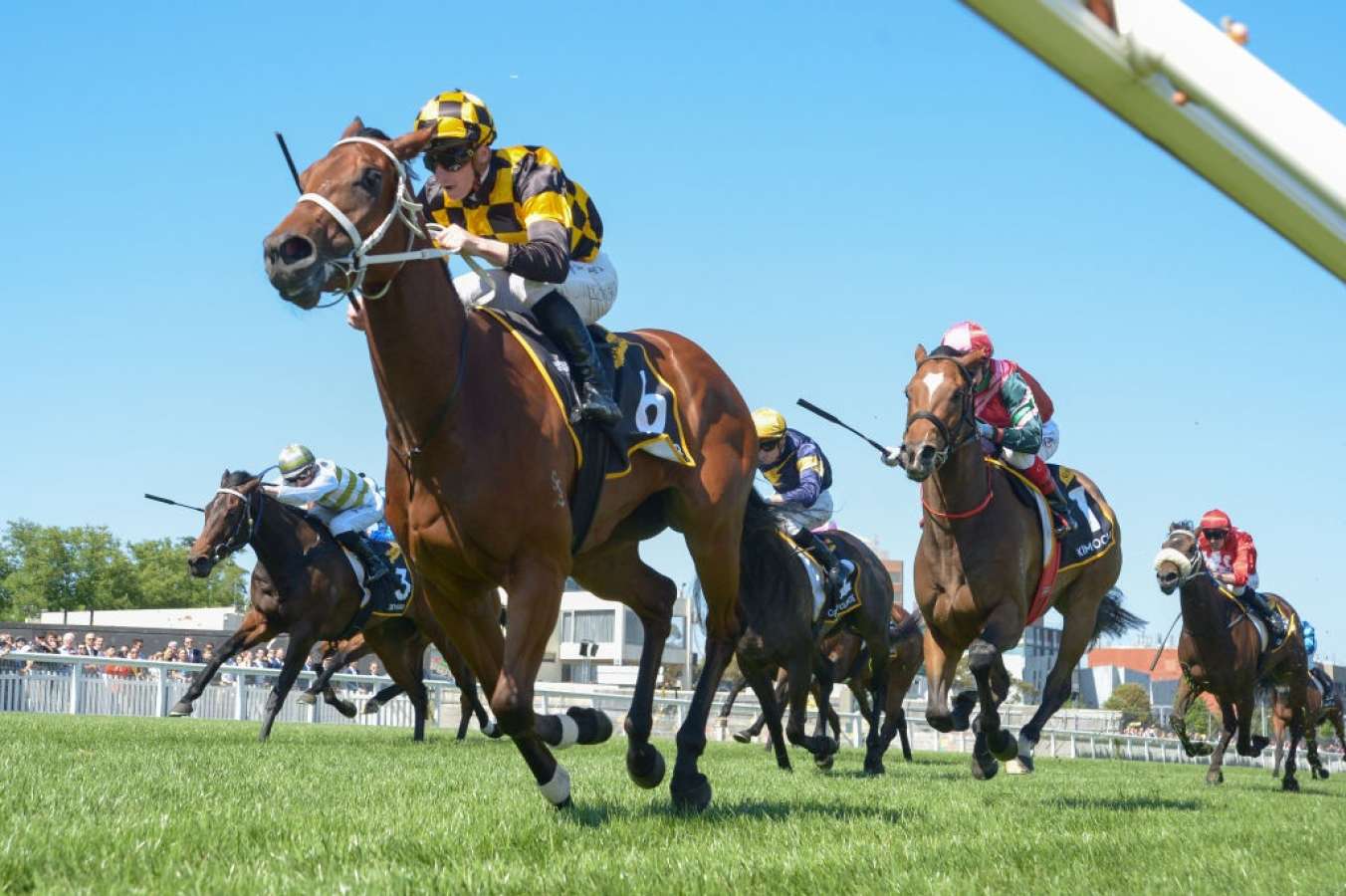 Thousand Guineas Field - 2024