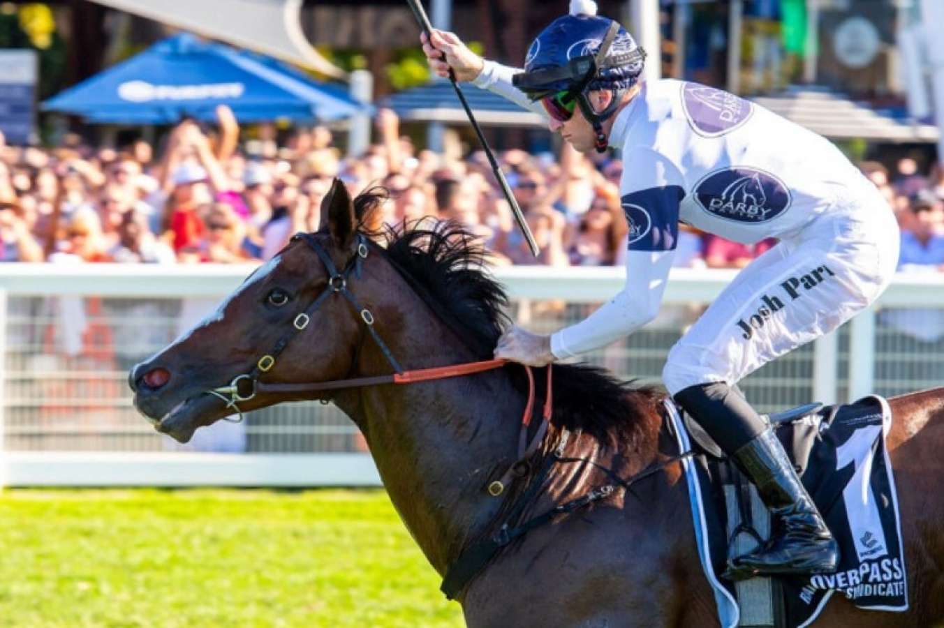 Overpass defends his The Quokka title in style