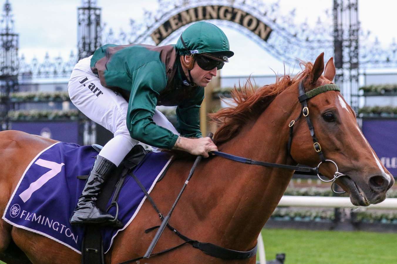 Everest runner Joyful Fortune returns to Flemington after 18-month hiatus