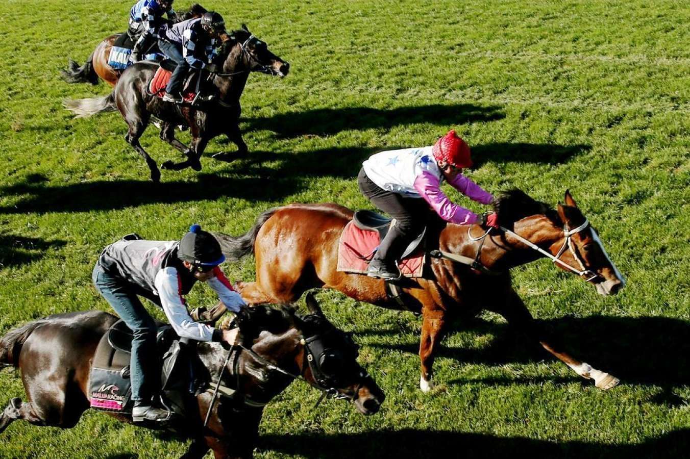 Racing Victoria remains committed to ending jumpout war between jockeys ...