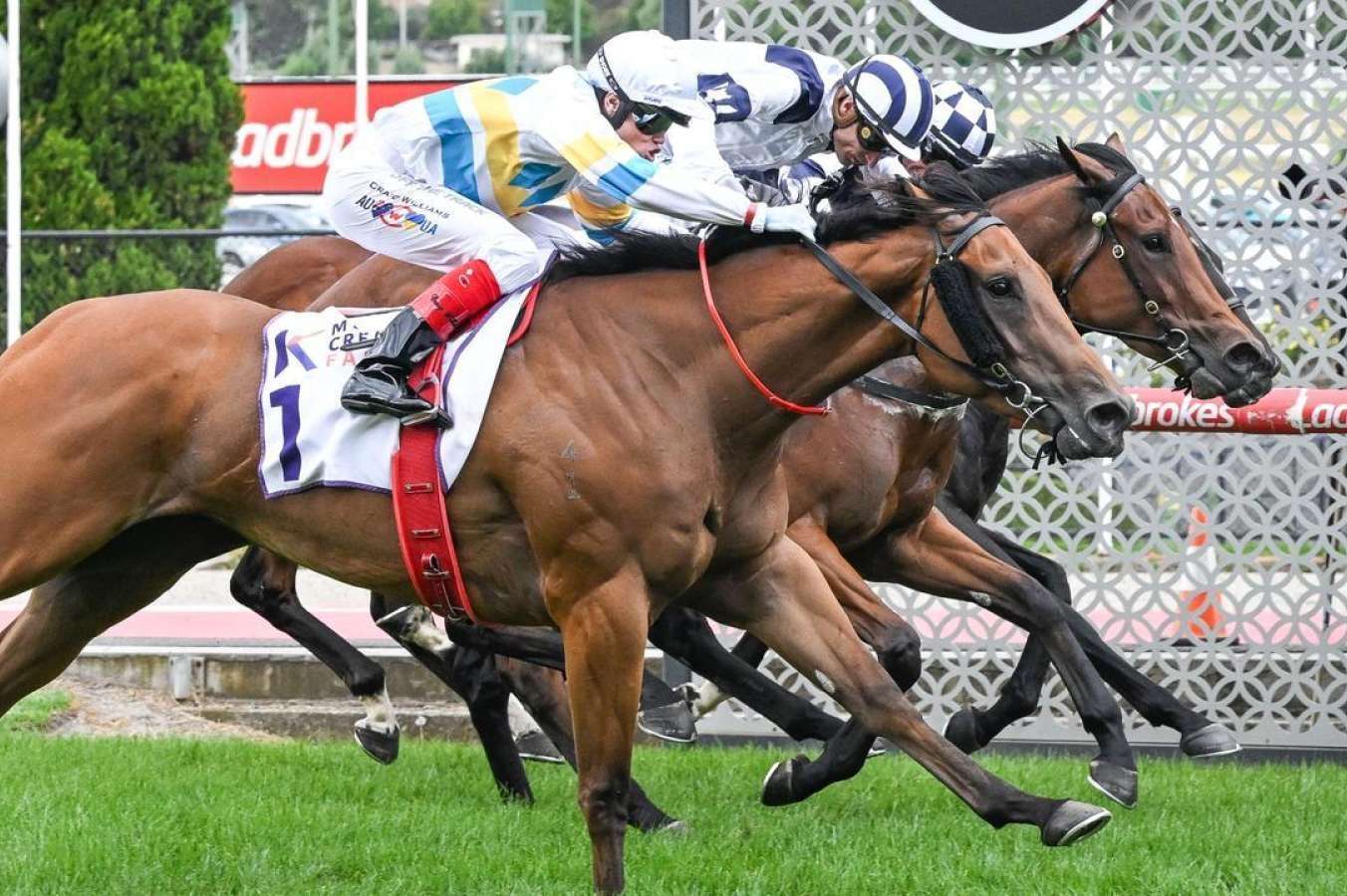 2024 VOBIS Gold Carat: Just For Show wins at Moonee Valley