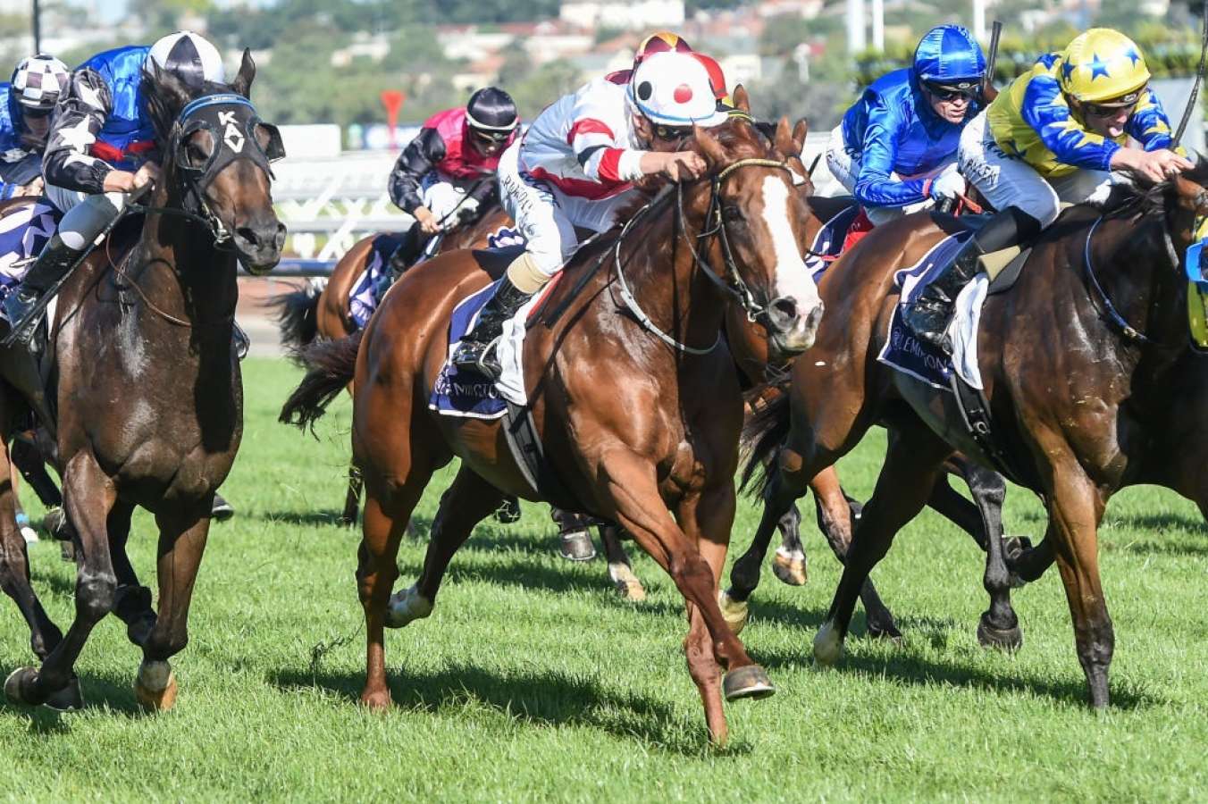 Mare to travel 'backwards' to Flemington